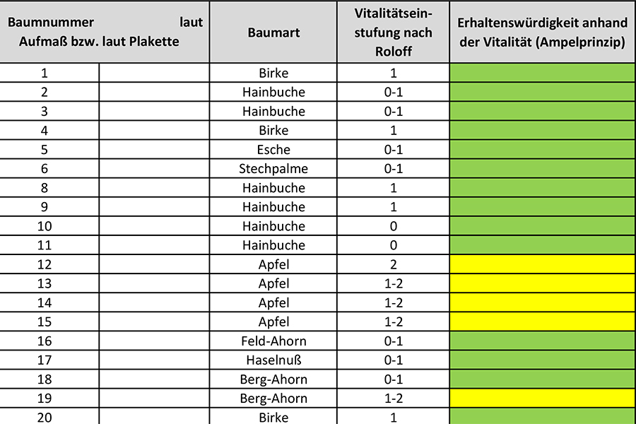 Baum-Vitalitätsprüfung | Ökoplan
